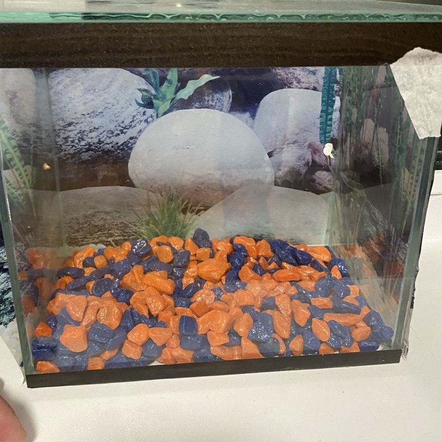 Аквариум 5 литров