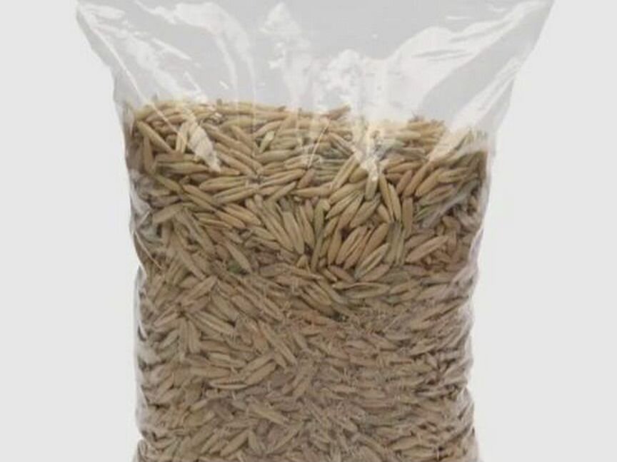 Овёс пшеница