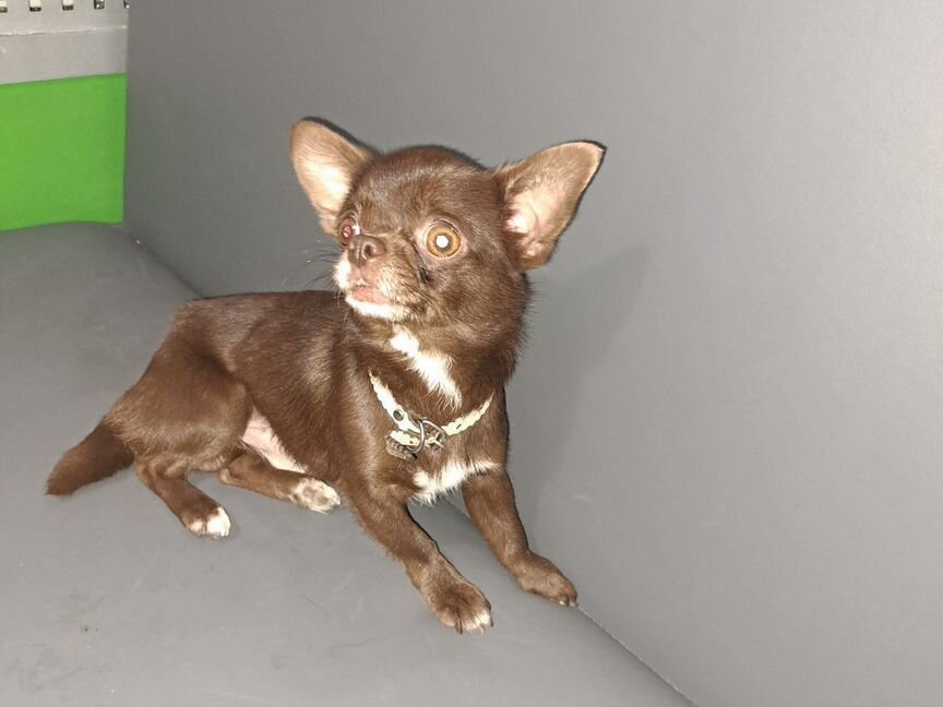 Мужичёк с ноготок