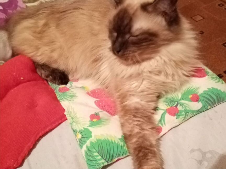 Невская маскарадная