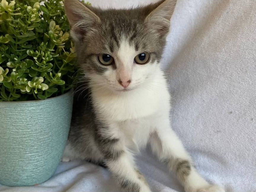 Потерянный ребенок