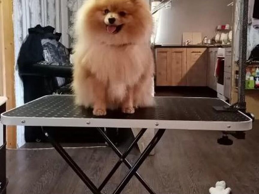 Стол для груминга новый