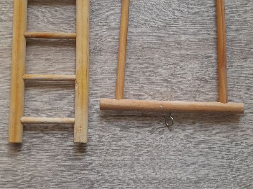 Для попугайчика