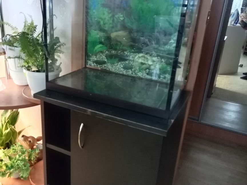 Аквариум 80 литров