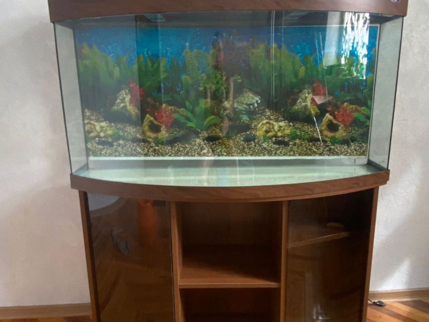Аквариум 180 л с тумбой + 2 фильтра