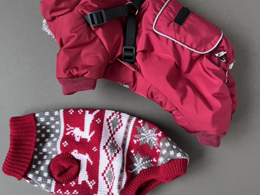 Зимний наряд для маленькой собачки