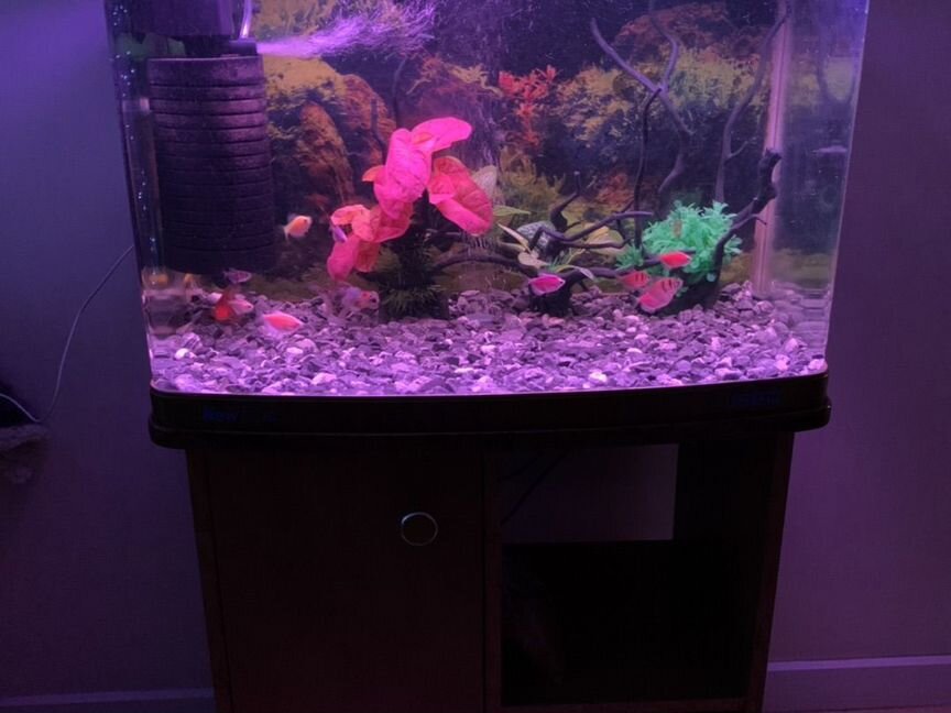 Аквариум jebo R362