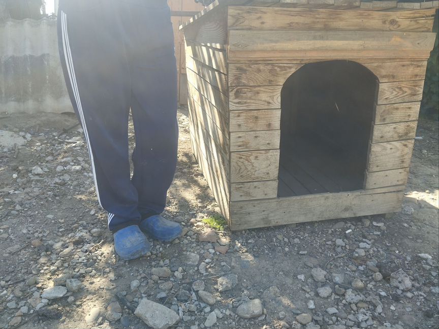 Будка для большой собаки