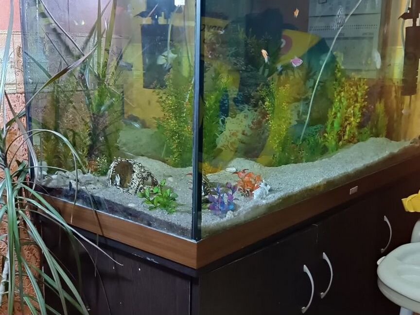 Аквариум с тумбой 400 литров