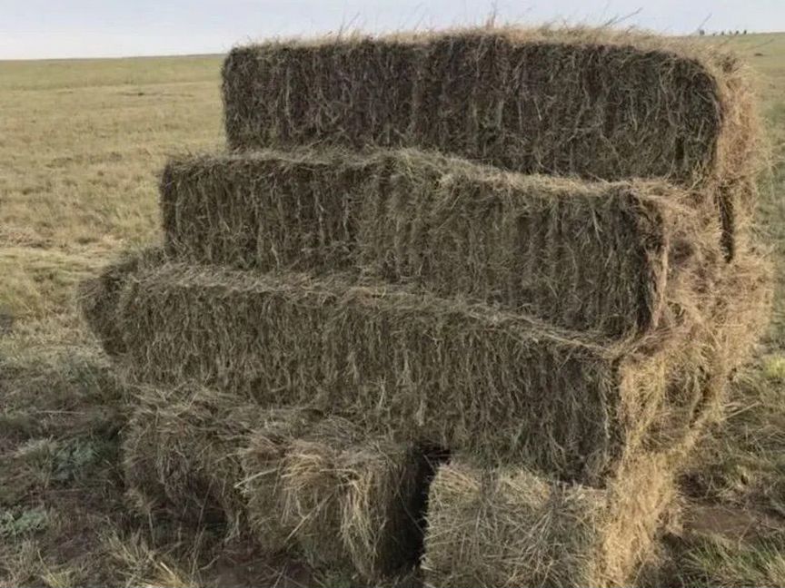 Сено в тюках