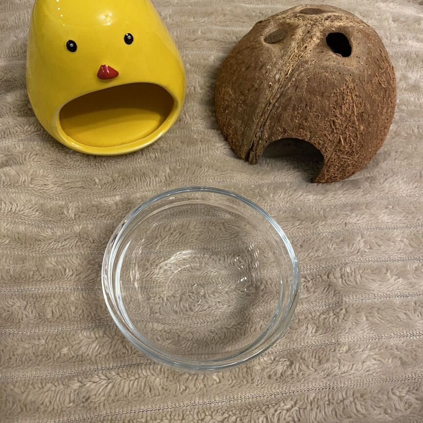 Поилки и домик для грызунов/эублефаров