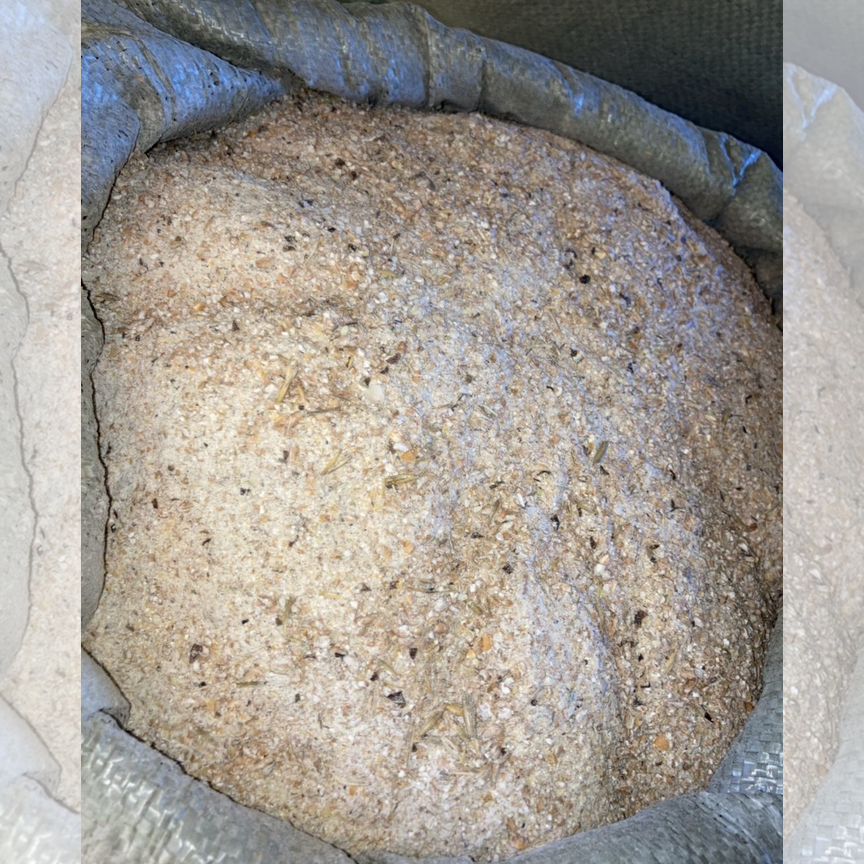 Пшеница и дроблёнка