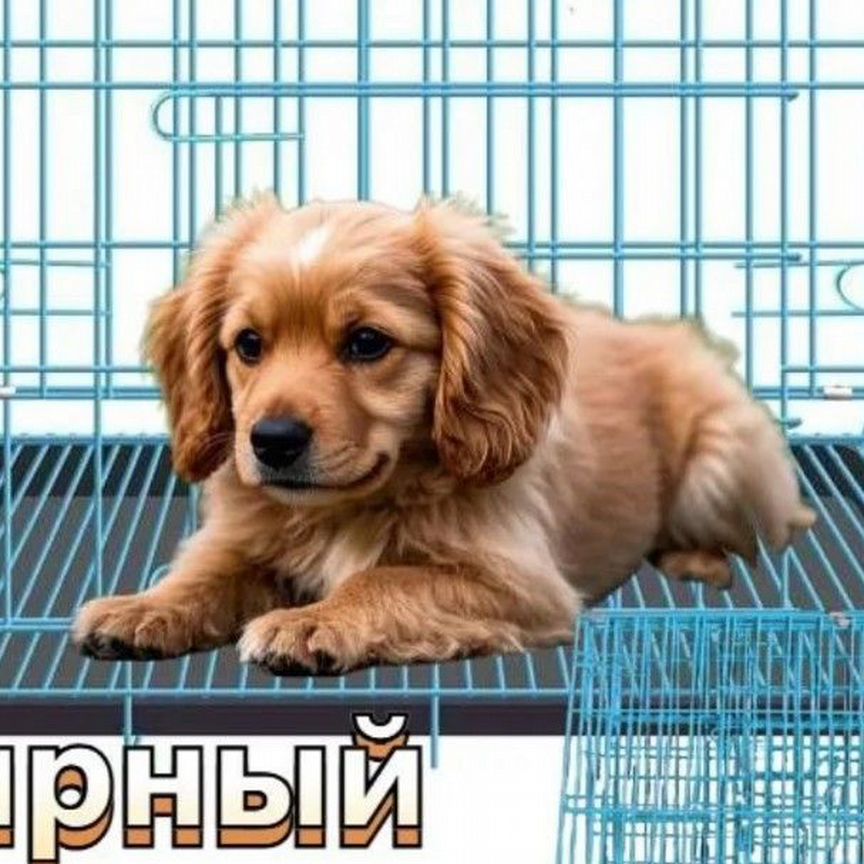Клетка вольер для маленьких собак и кошек