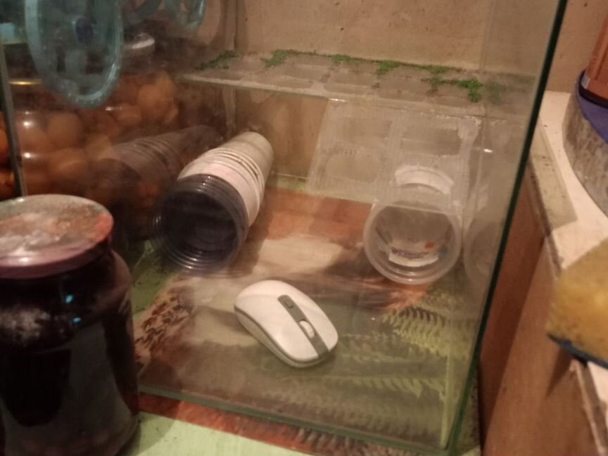 Аквариум черепашник