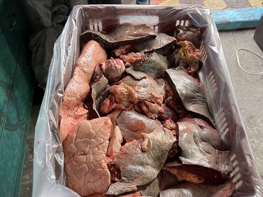 Корм, ассорти для собак