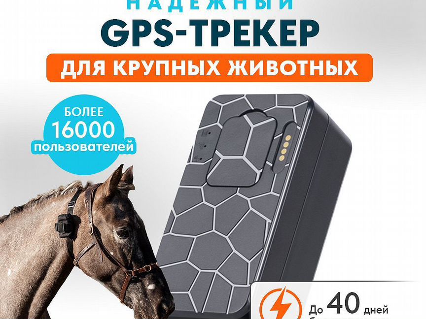 Gps tracker для коров