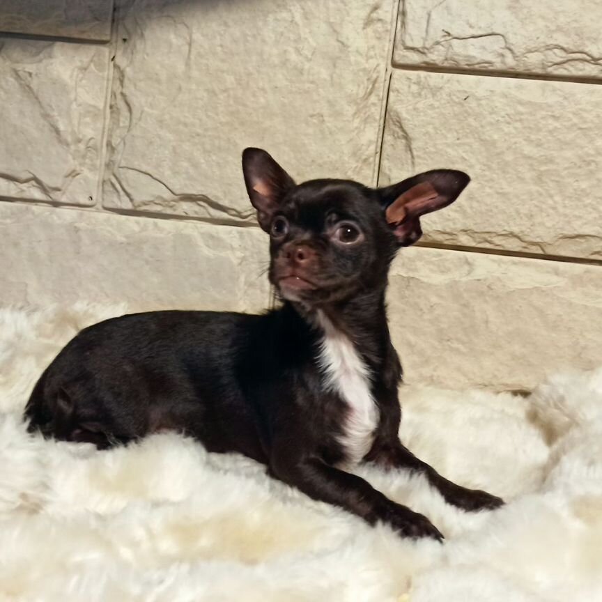 Малыш 3,5 мес