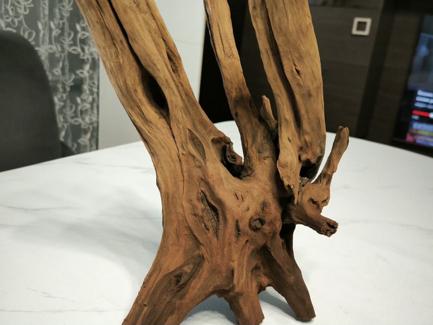 Коряга в аквариум мангровая