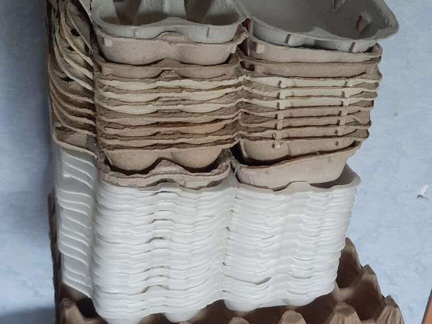 Контейнер (ячейки) для хранения яиц