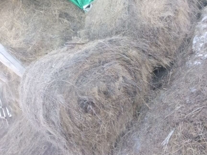 Продам степное сено в рулонах