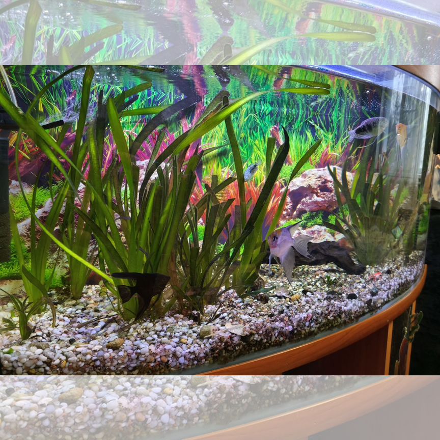 Аквариум 100 л с тумбой