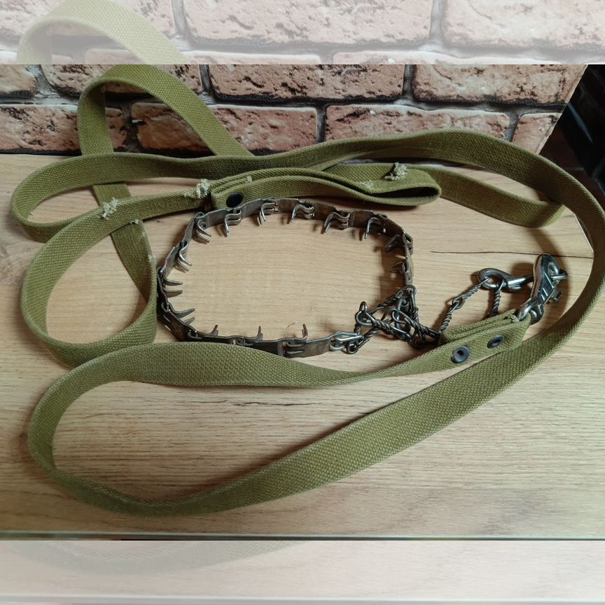 Ошейник строгий для собак