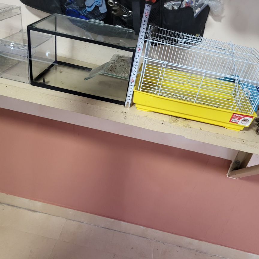 Террариум,клетка