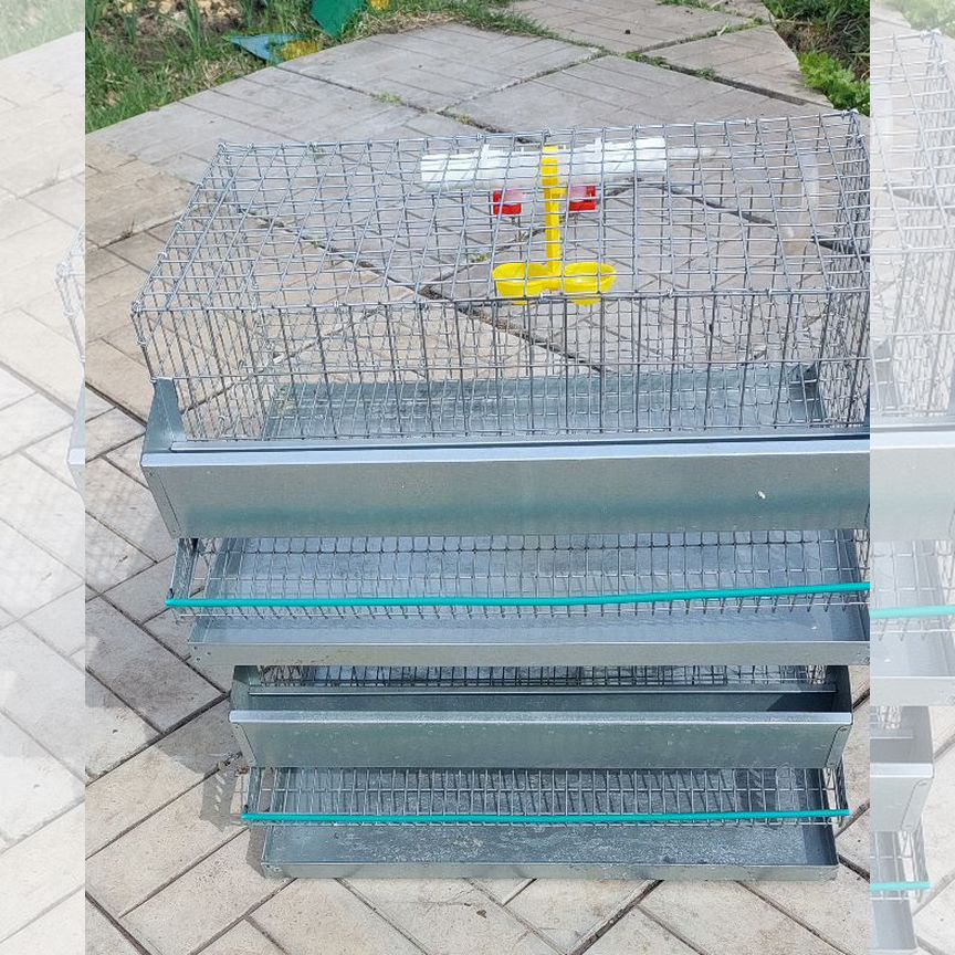 Клетка для перепелов