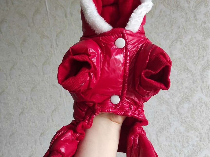 Одежда для собак