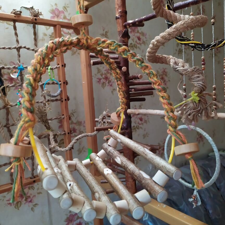 Качели для попугаев