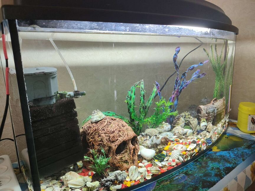 Аквариум