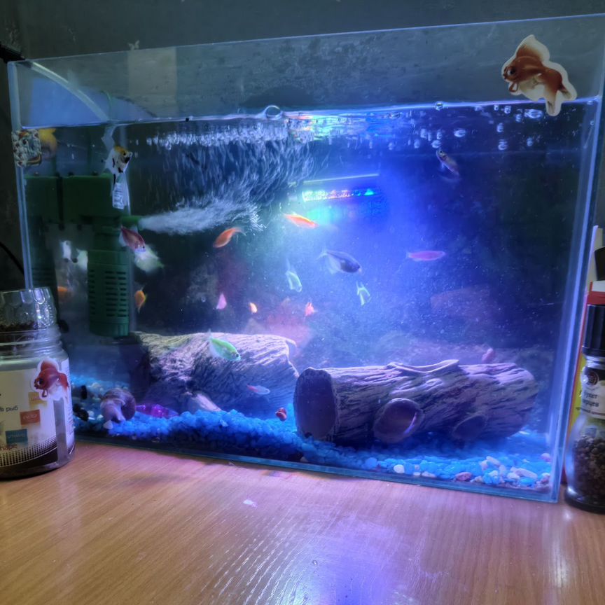 Аквариум с рыбками