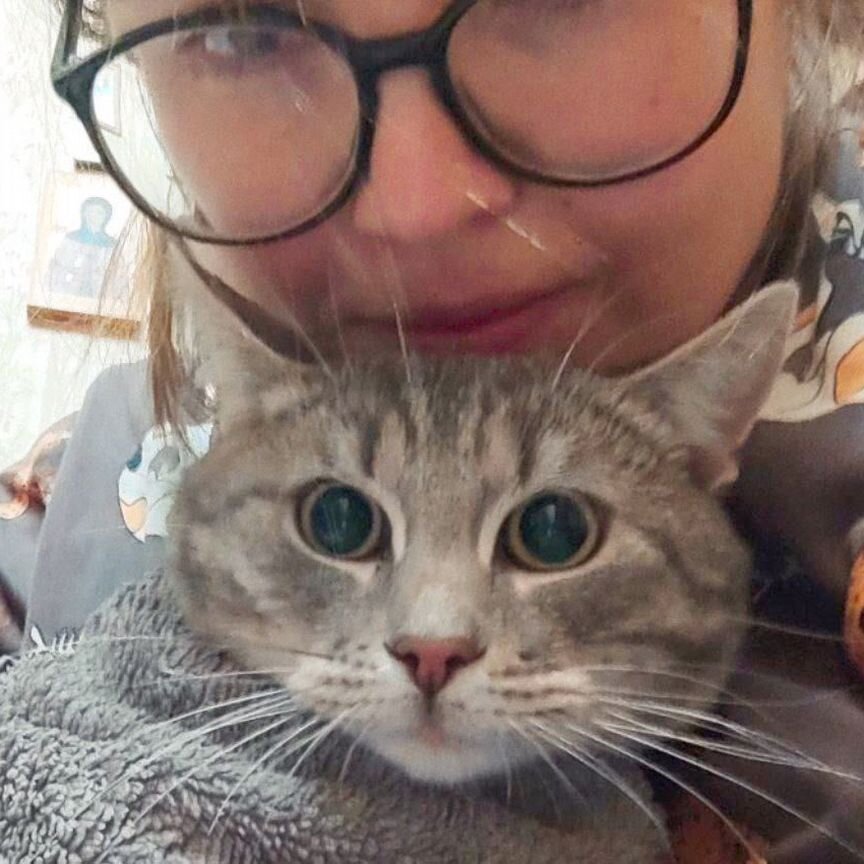 Прекрасный котенок Лютик в поисках дома
