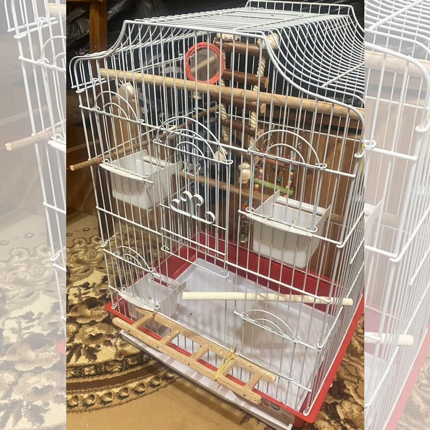 Клетка для попугая большая