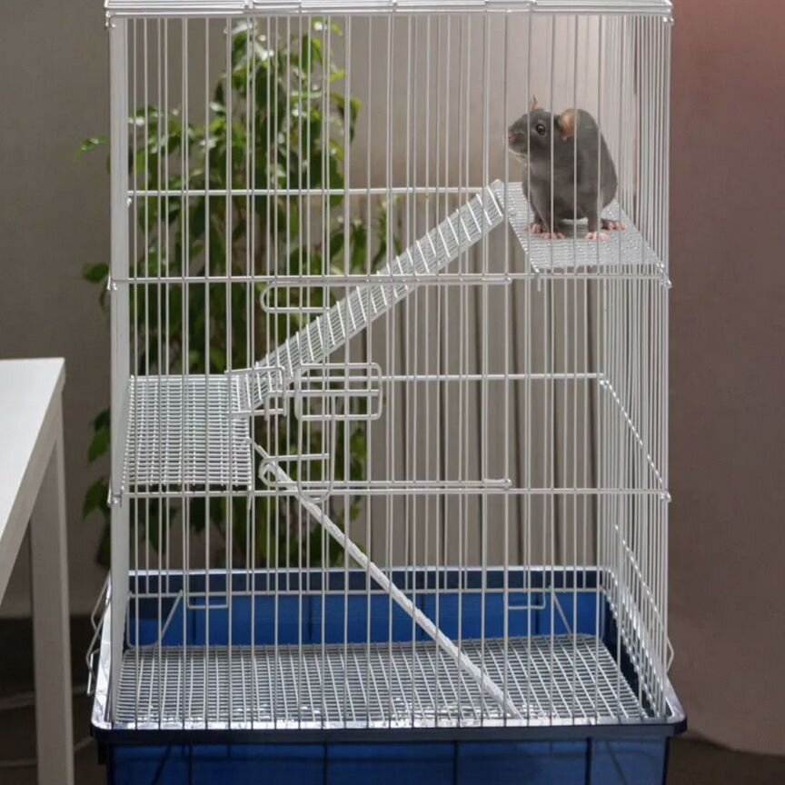 Клетка для грызунов