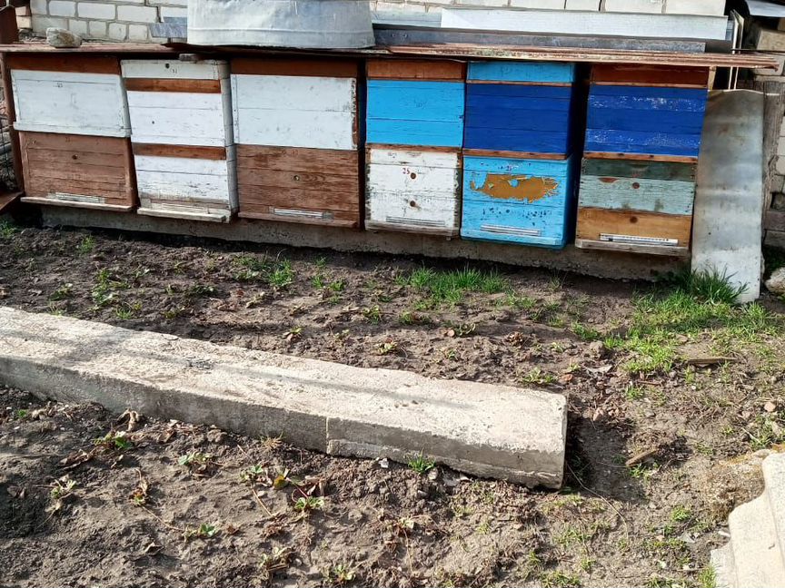 Ульи для пчел бу