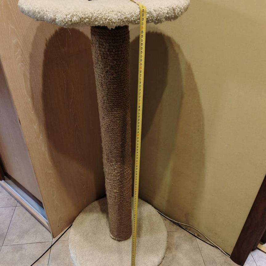 Когтеточка