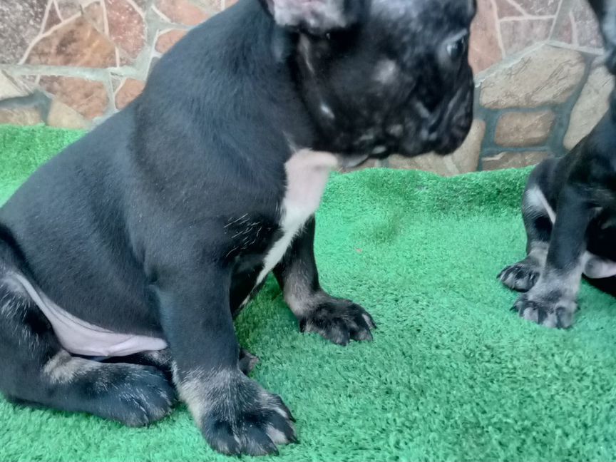 Серьезный парень