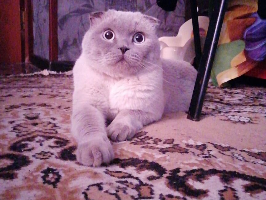 Вязка