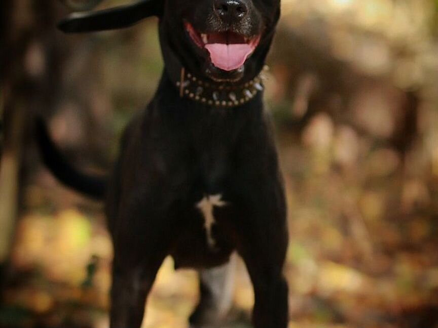 Фортуна ждет вас