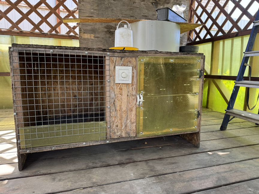 Клетки и куры