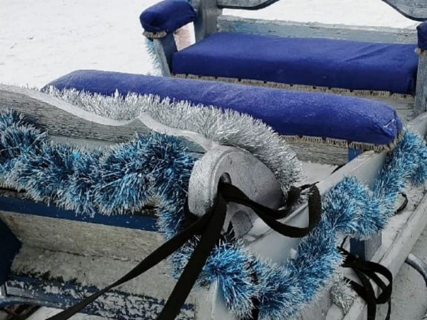 Сани для лошади