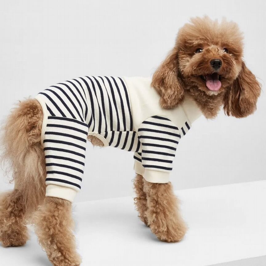 Комбинезон для маленькой собачки