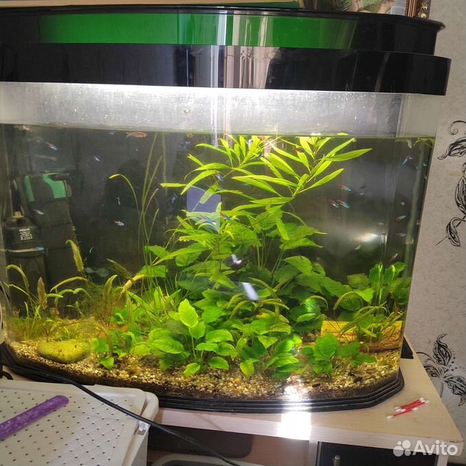 Аквариум300 литров