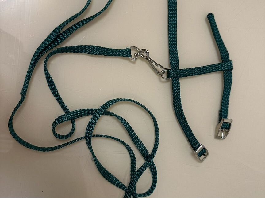 Шлейка для грызунов