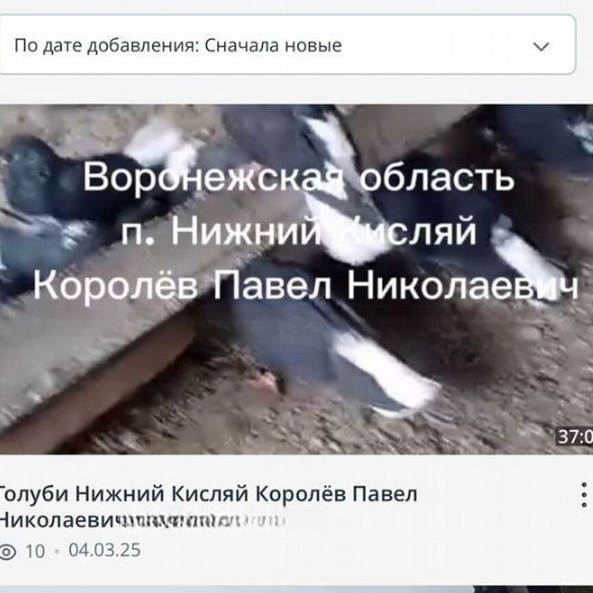 Продажа николаевских голубей