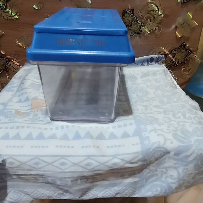 Террариум для насекомых, улиток