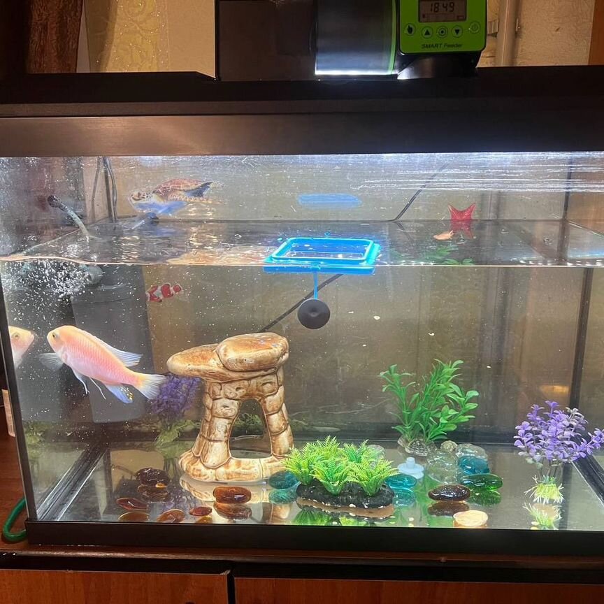 Акариум 70 литров