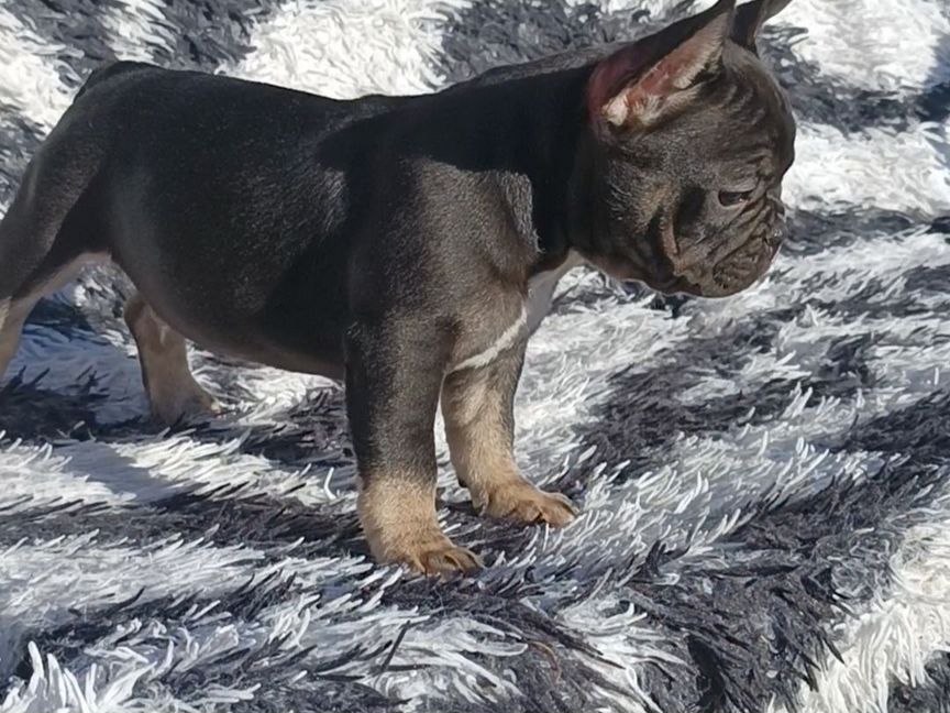 Мальчик красавчик