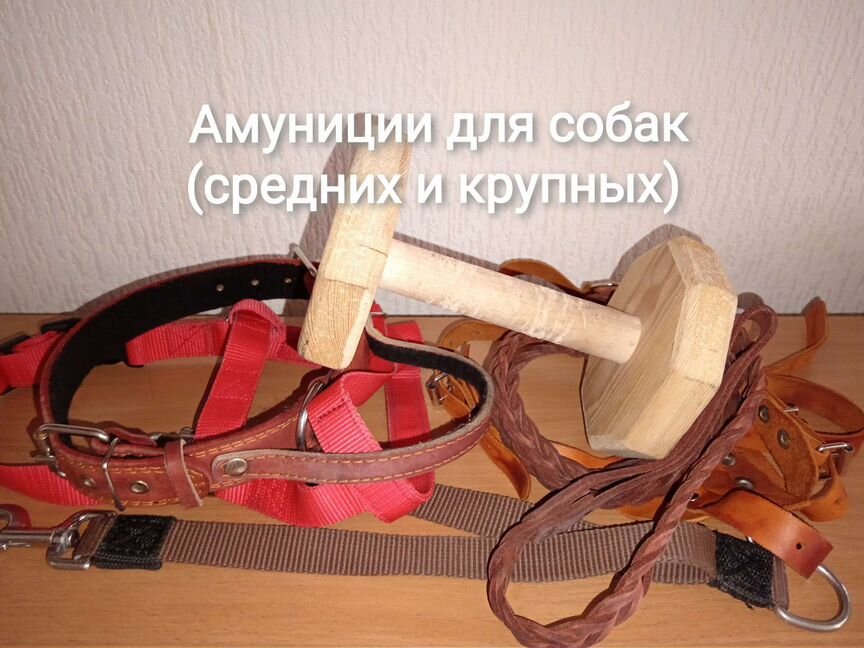 Амуниция для собак